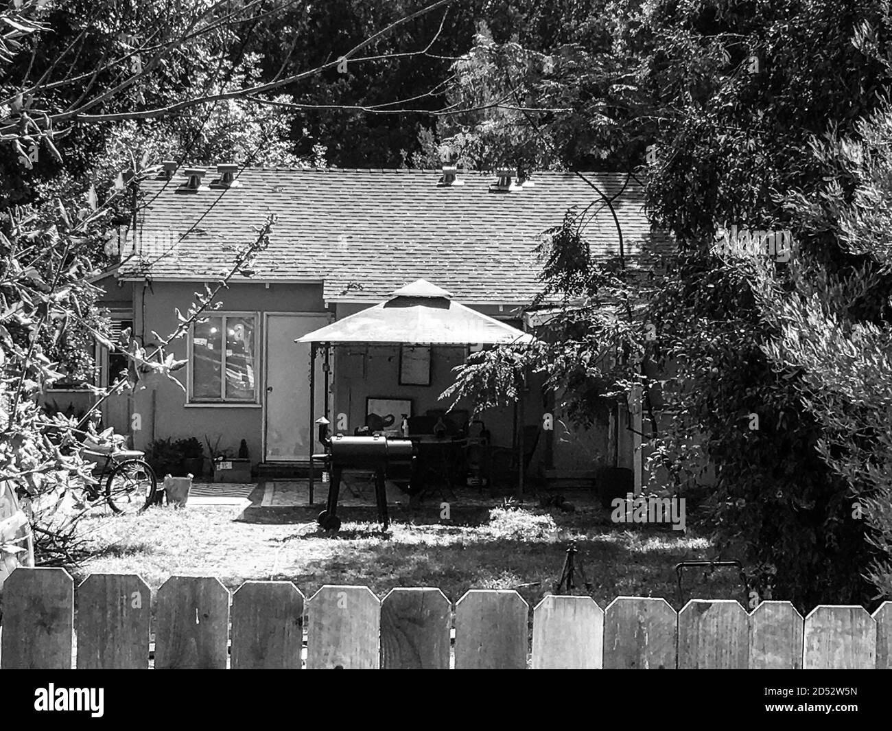 Pasadena, Ca. 11th Oct, 2020. Van Halen fans remember legendary ...