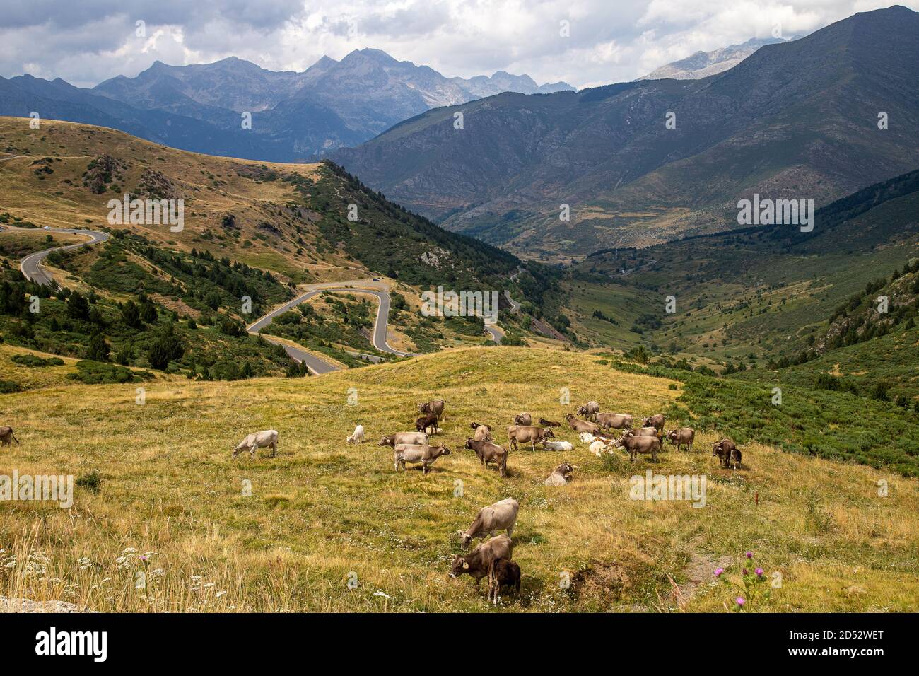 Trekking in Pyrenees Stock Photo - Alamy