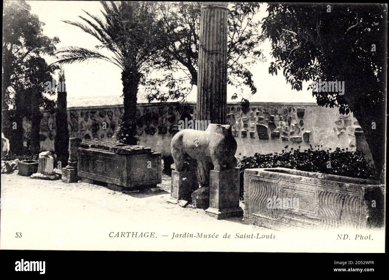 Musee de carthage hi-res stock photography and images - Alamy