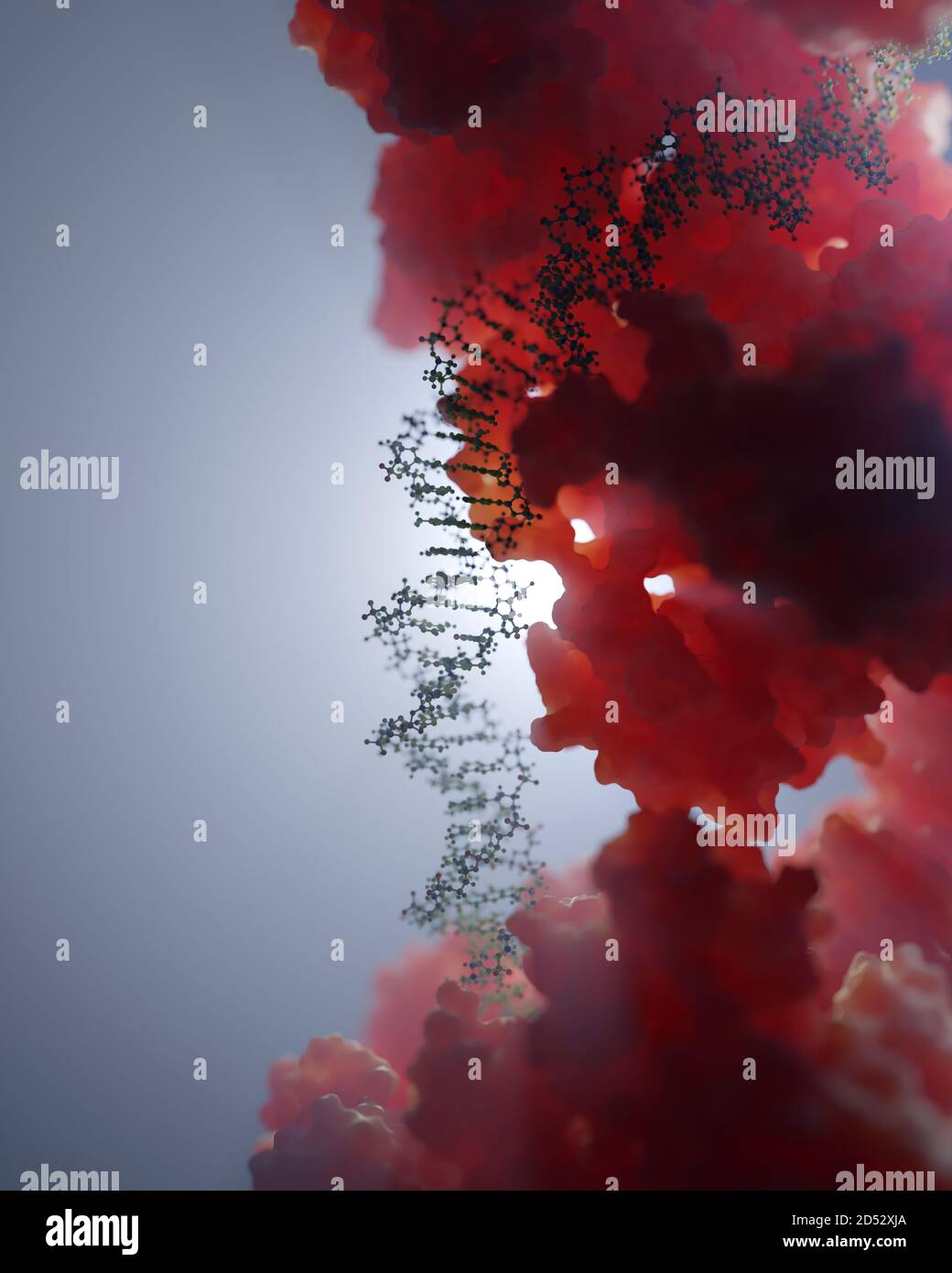 DNA and protein interaction at molecular level. DNA-binding proteins control transcription, gene ...