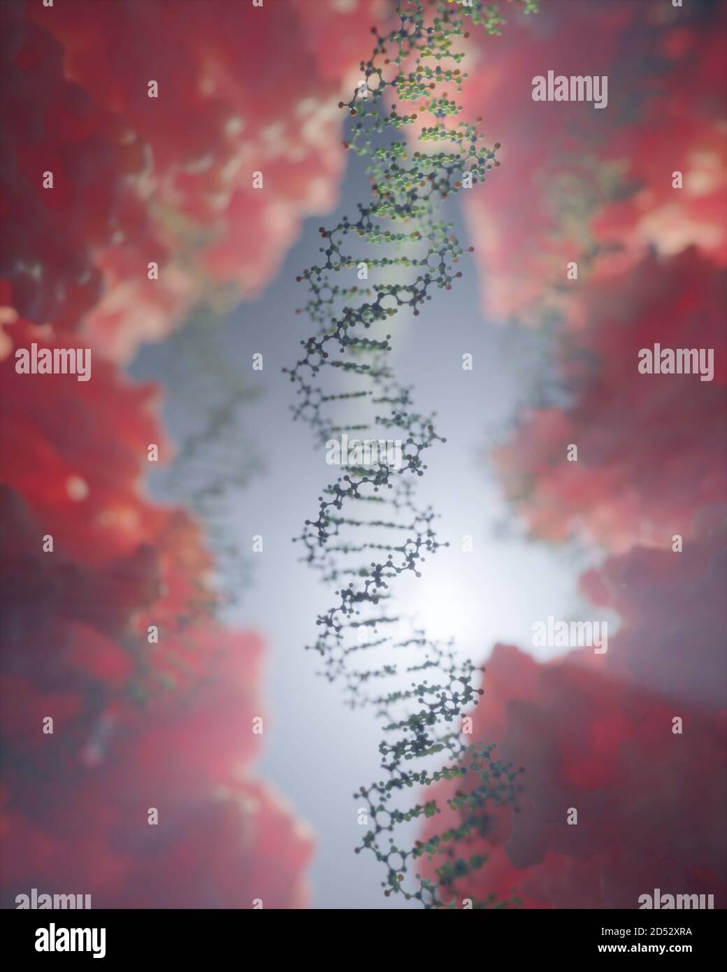 DNA and protein interaction at molecular level. DNA-binding proteins ...