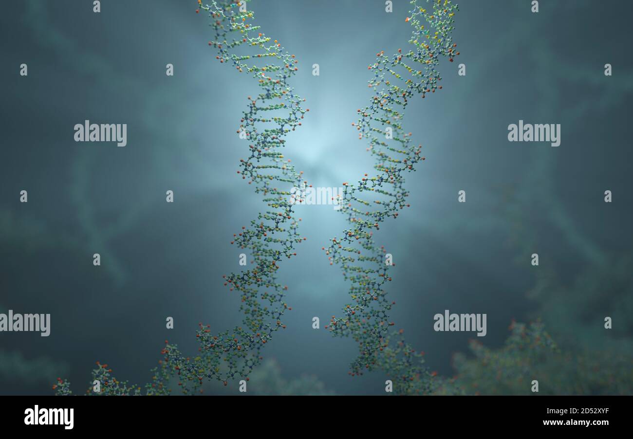 DNA is a molecule and a double helix carrying genetic instructions for ...