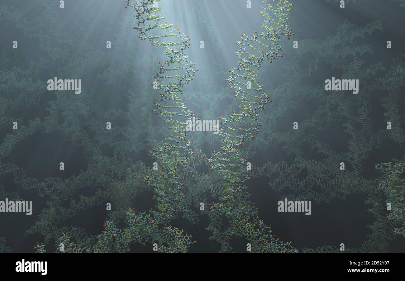 DNA is a molecule and a double helix carrying genetic instructions for ...