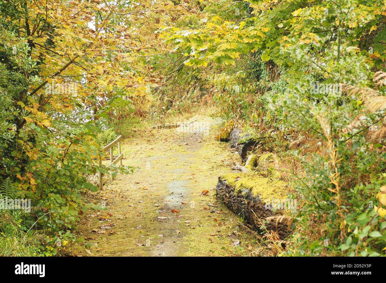 Bann river hi-res stock photography and images - Alamy