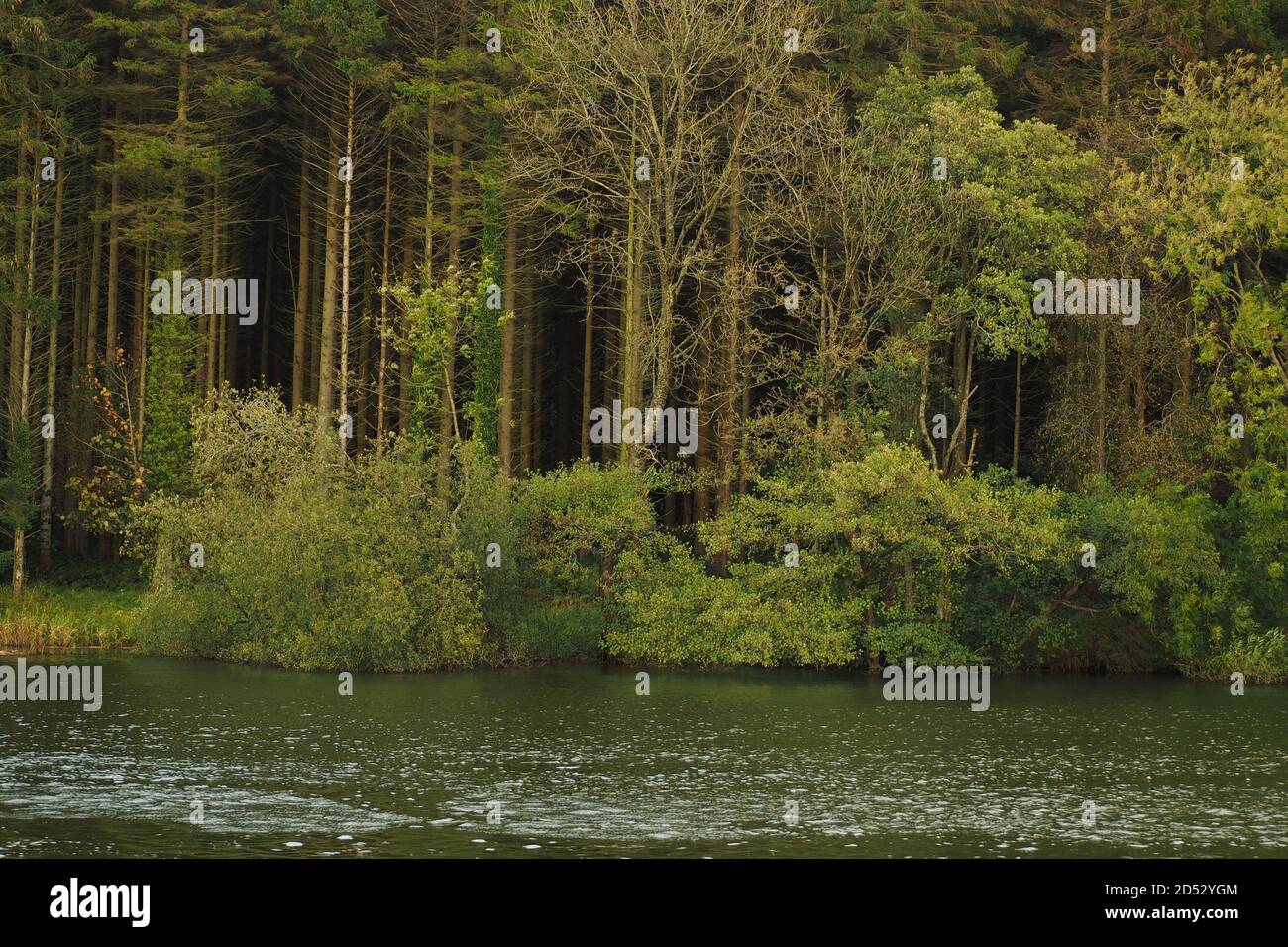 River bann hi-res stock photography and images - Alamy