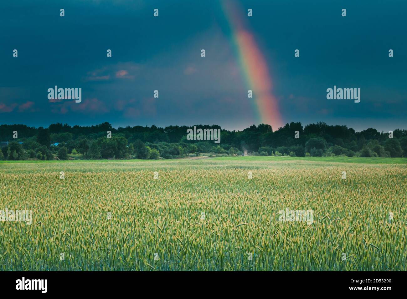 Germs environment hi-res stock photography and images - Alamy