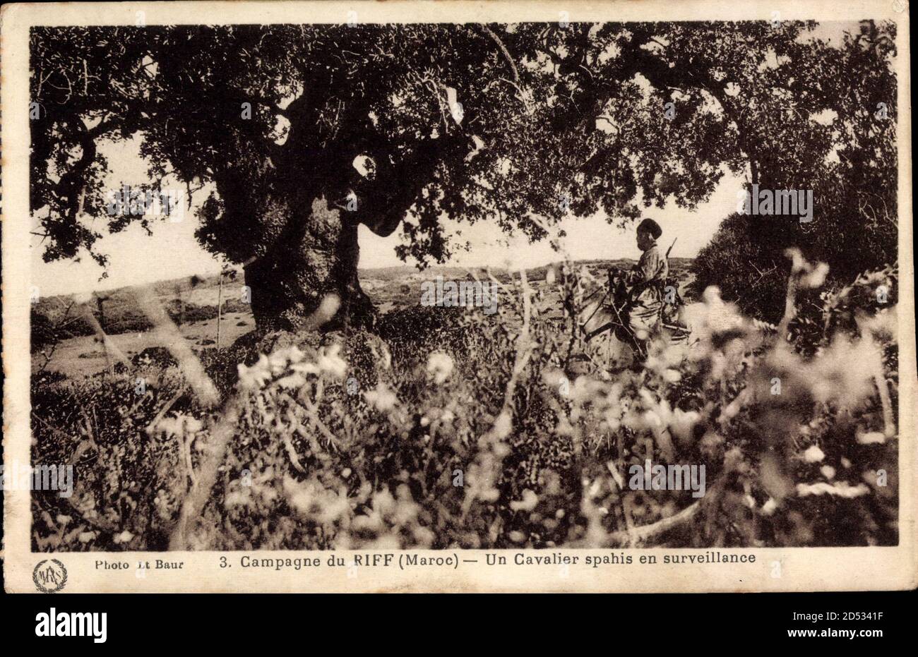 Riff Marokko, Campagne, Un Cavalier spahis en surveillance ...