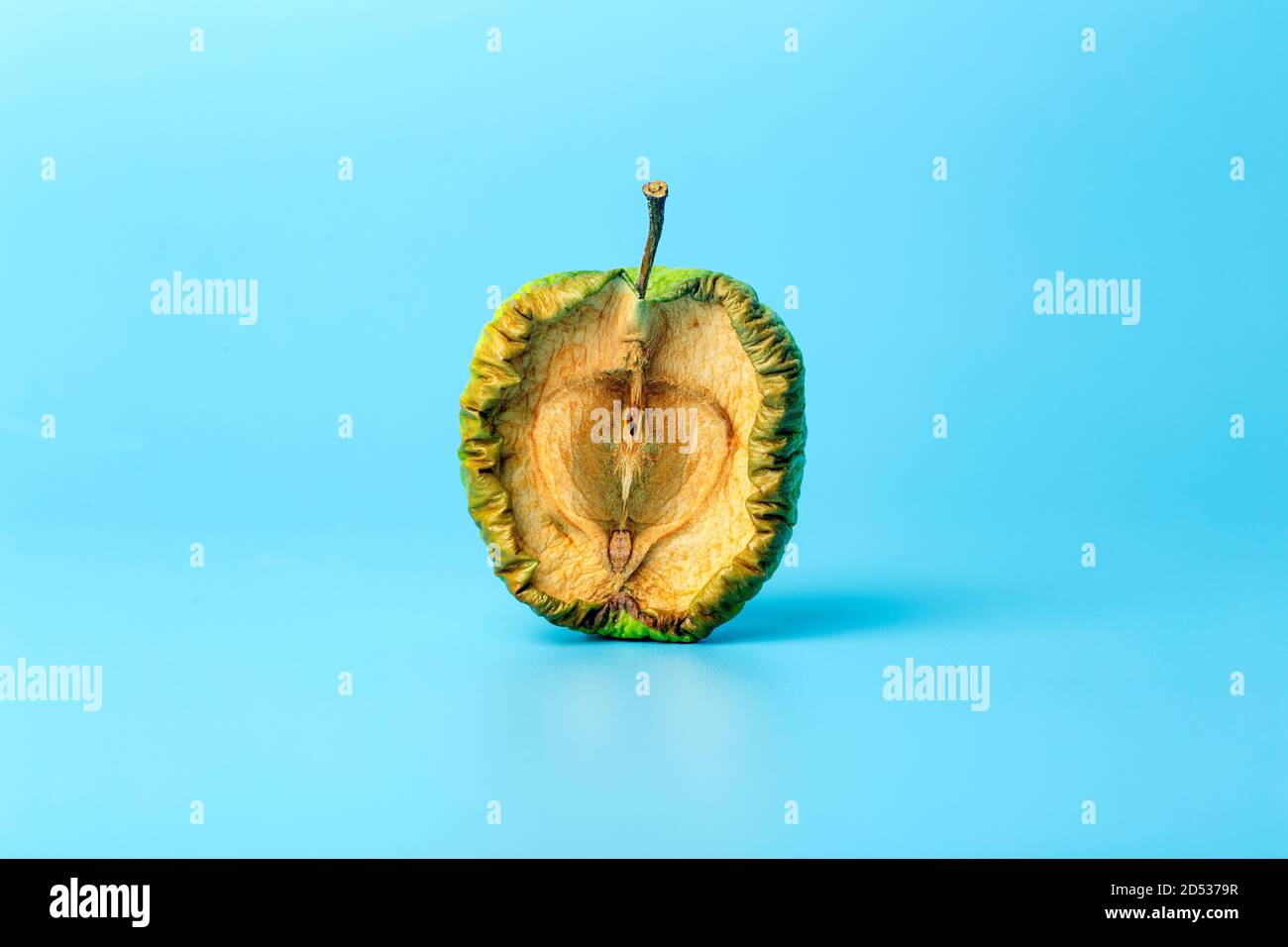 Old dried apple on a blue minimal background. Spoiled and shriveled ...