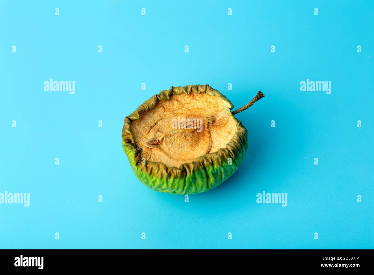 Old dried apple on a blue minimal background. Spoiled and shriveled ...