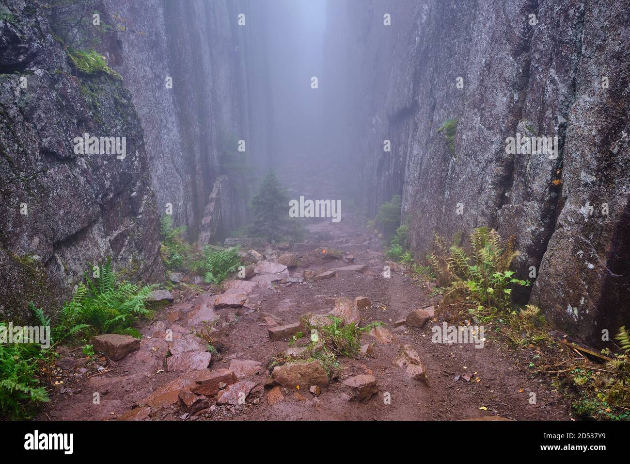 High cliffs on both sides at once leading away in foggy weather Stock ...