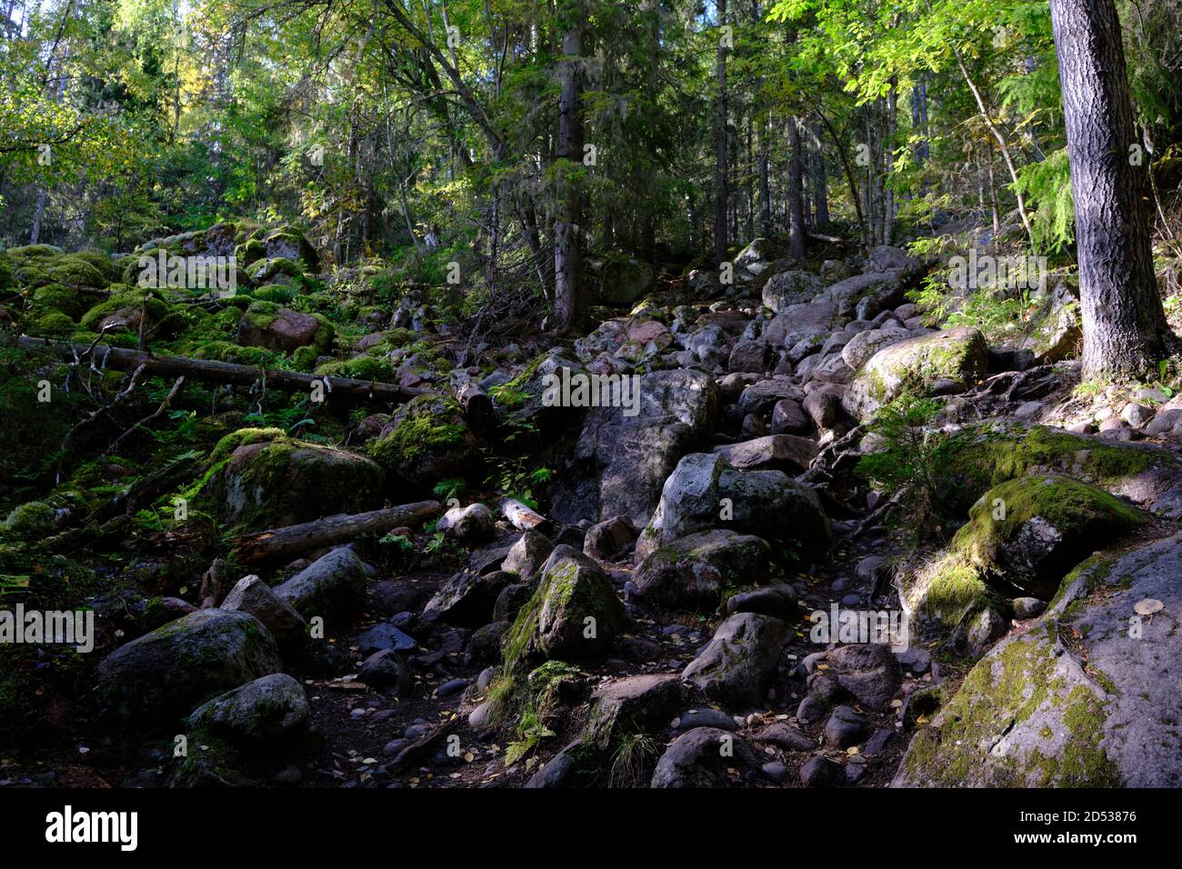 rocky path up a mountain through the forest Stock Photo - Alamy
