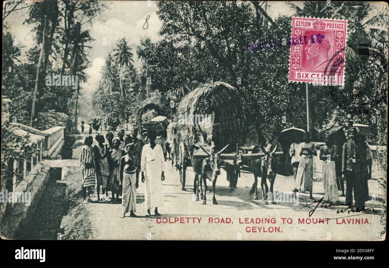 Sri Lanka Ceylon, Colpetty Road, leading to Mount Lavinia, Fuhrwerk ...