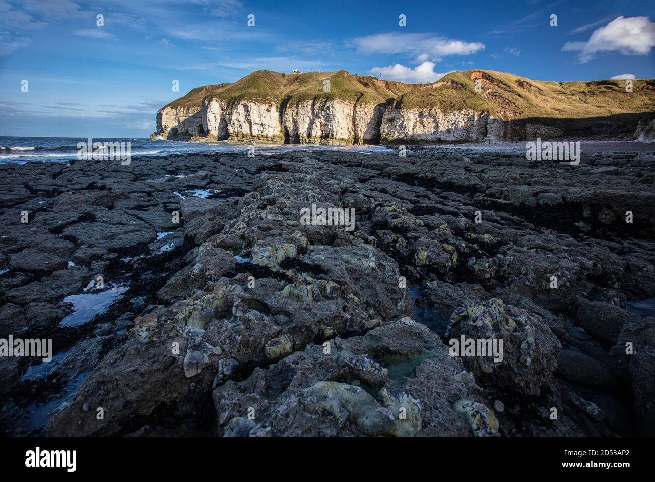 Flamborough Head on the coast north of Humberside Stock Photo - Alamy