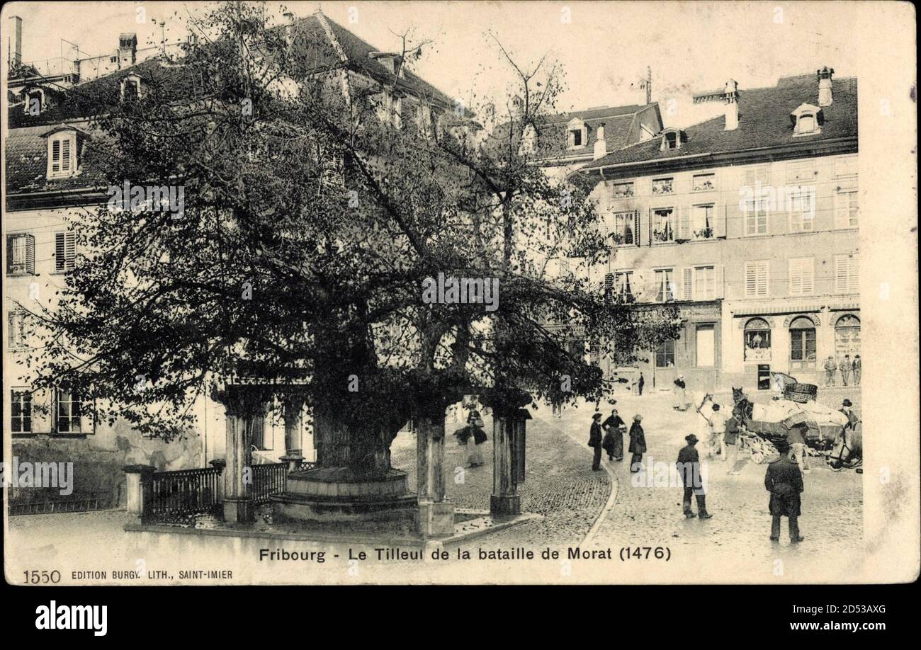 Fribourg Kanton Freiburg, Le Tilleul de la bataille de Morat | usage ...