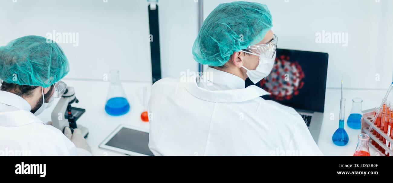 rear view. scientist sitting at a Desk in the laboratory Stock Photo ...