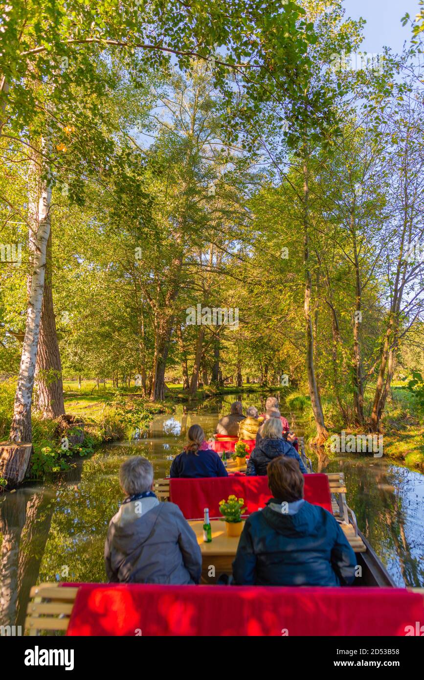 Boat tour on canals and creeks through the Spreewald or Spree Forest ...