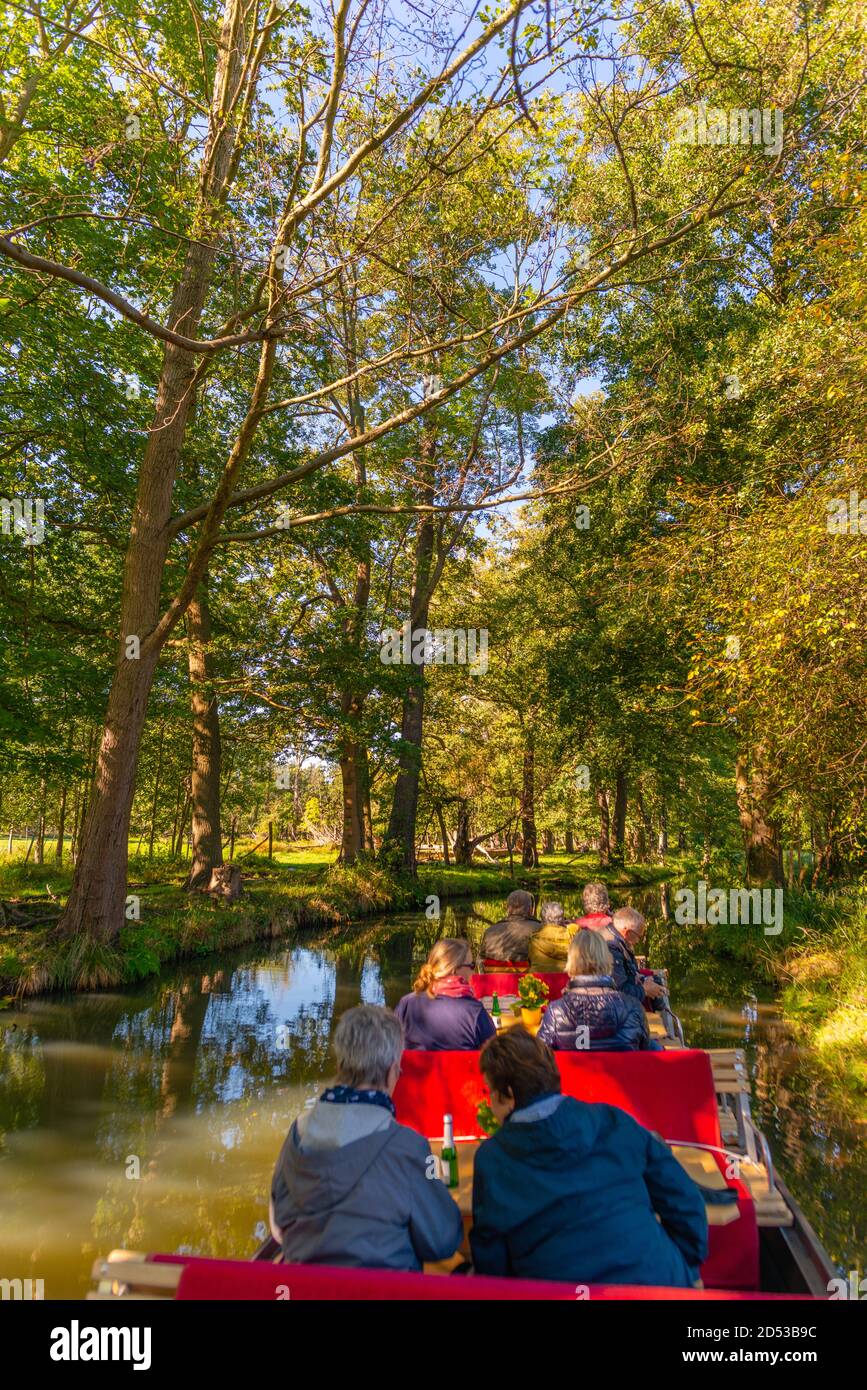 Boat tour on canals and creeks through the Spreewald or Spree Forest ...