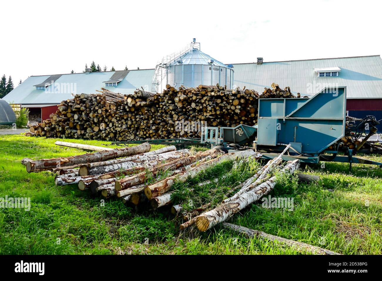 pile of logs, in Sweden Scandinavia North Europe Stock Photo - Alamy