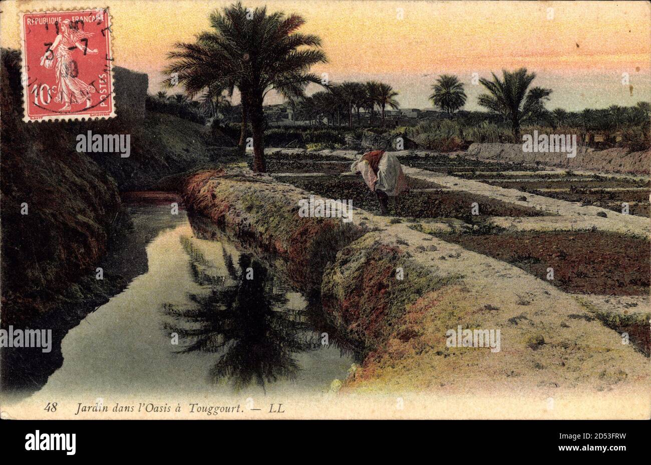 Touggourt Algerien, Jardin dans l'Oasis, Oase, Fluss, Palmen | usage ...