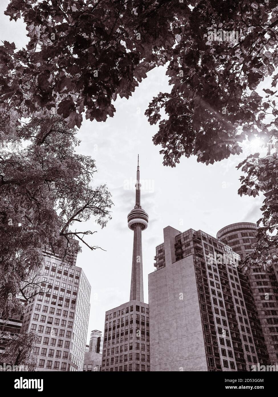 Vertical shot of the CN tower in Toronto, Canada Stock Photo - Alamy