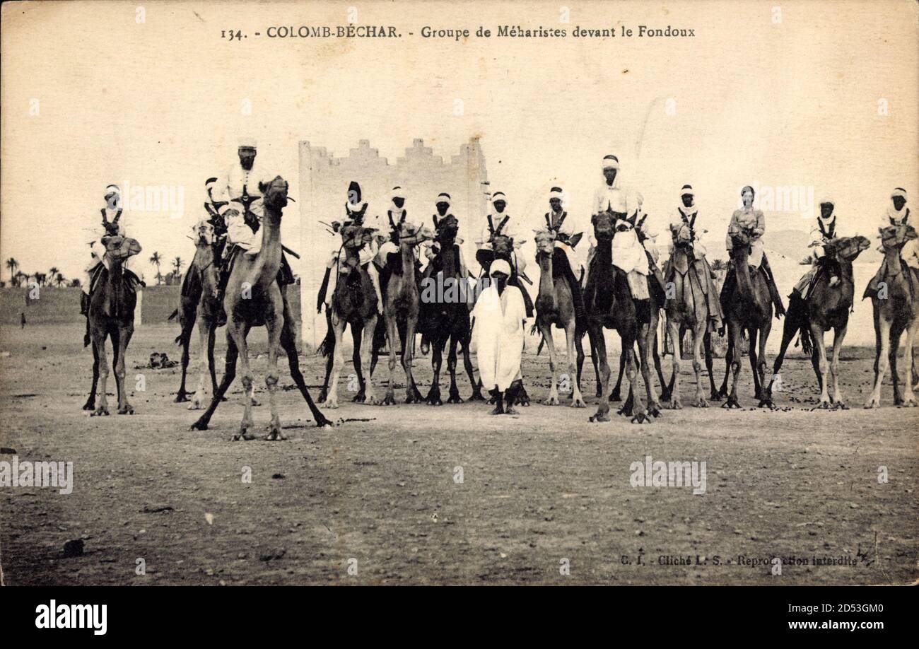 Colomb Bechar Algerien, Groupe de Meharistes devant le Fondoux, Kamele ...