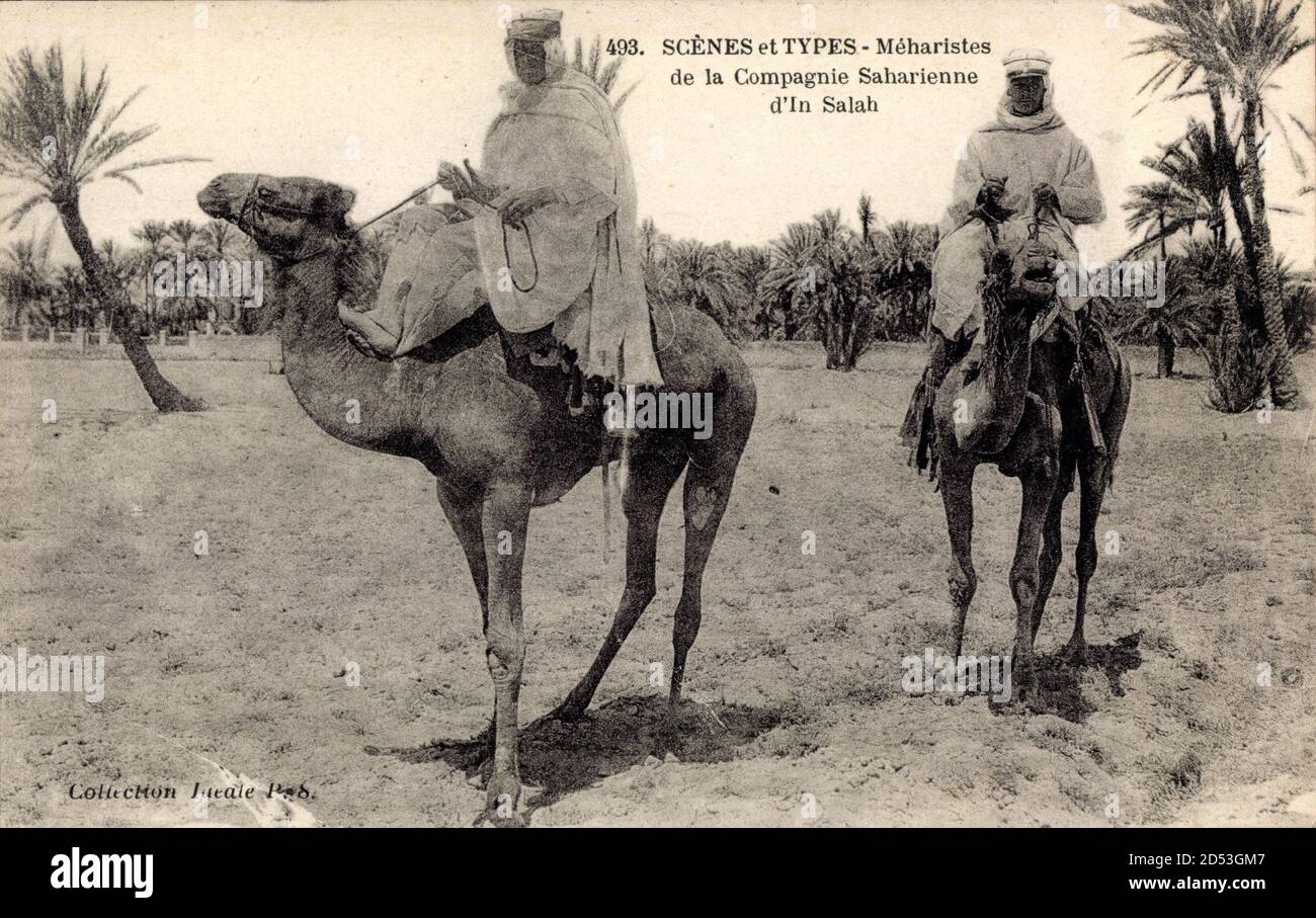 In Salah Algerien, Meharistes de la Compagnie Saharienne, Kamelreiter ...