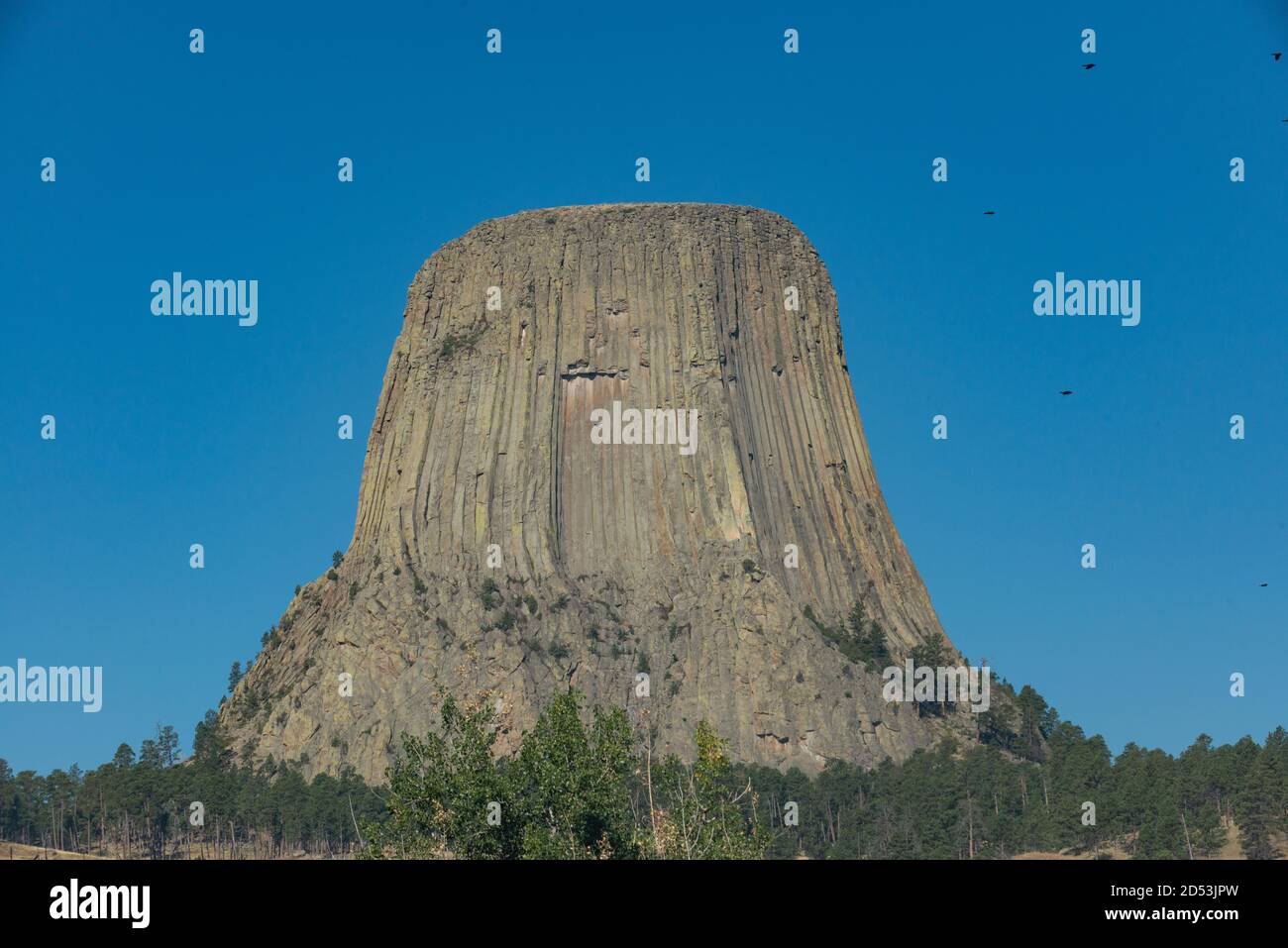Devils Tower National Monument in the Bear Lodge Ranger District of the ...