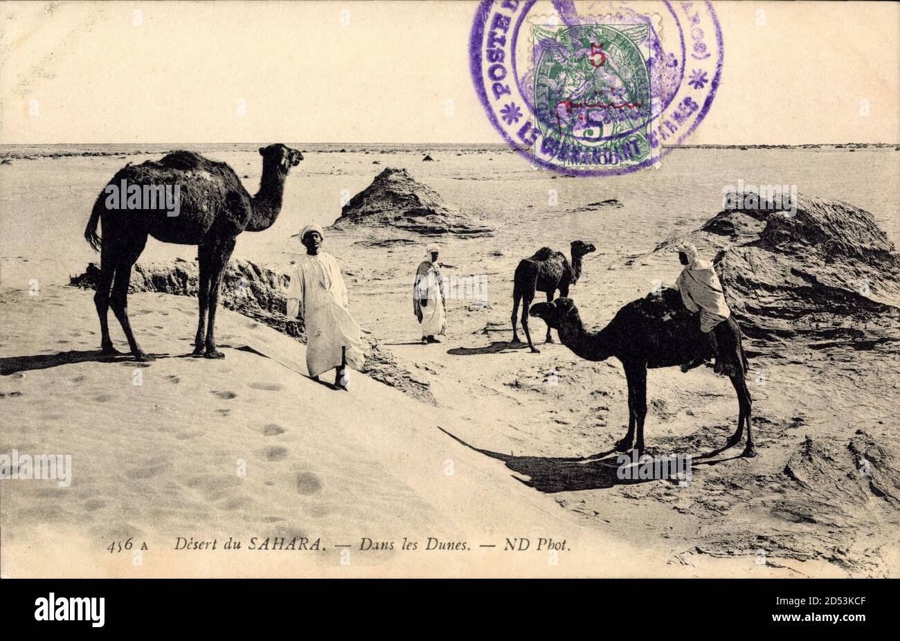 Maghreb, Désert du Sahara, Dans les Dunes, Wüste, Kamele | usage ...