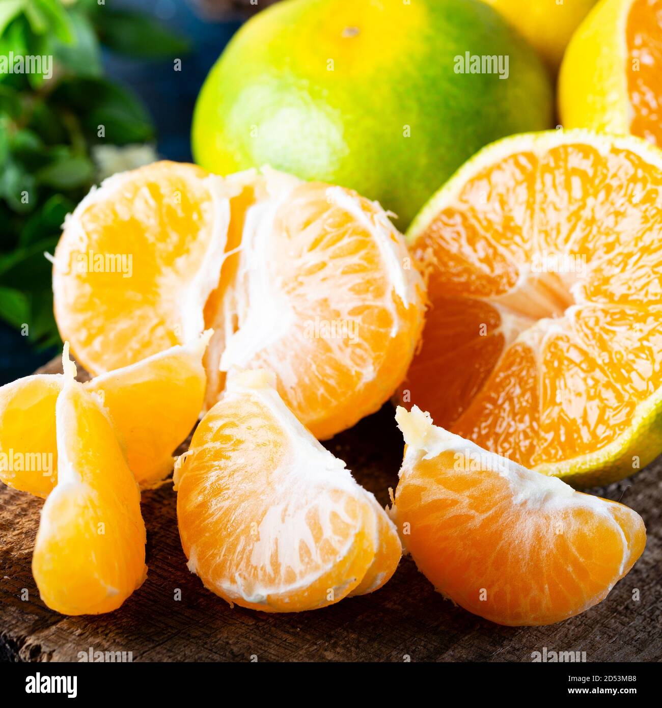 Ripe Mandarin fruit peeled open and place on old rustic look timber ...