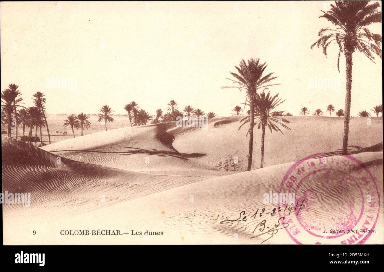 Colomb Bechar Algerien, Les dunes, Wüste, Sanddünen, Palmen | usage ...