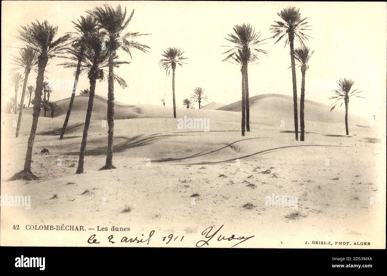 Colomb Bechar Algerien, Les dunes, Wüste, Sanddünen, Palmen | usage ...