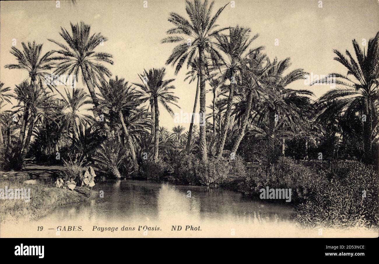 Gabes Tunesien, Paysage dans l'Oasis, Palmen, Oase, Flusspartie | usage ...