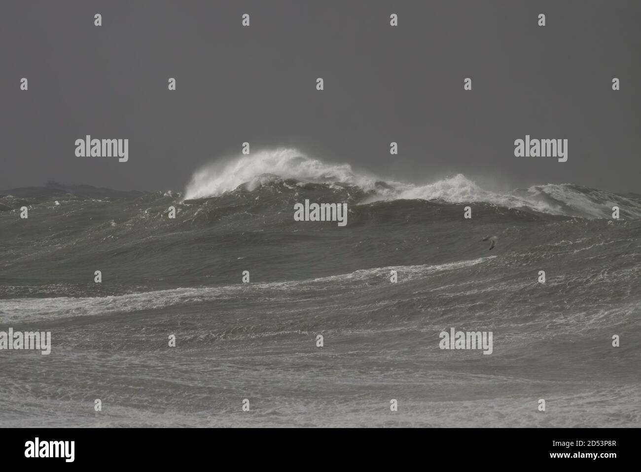 Winter seascape with Atlantic huge waves. Portuguese northern coast ...