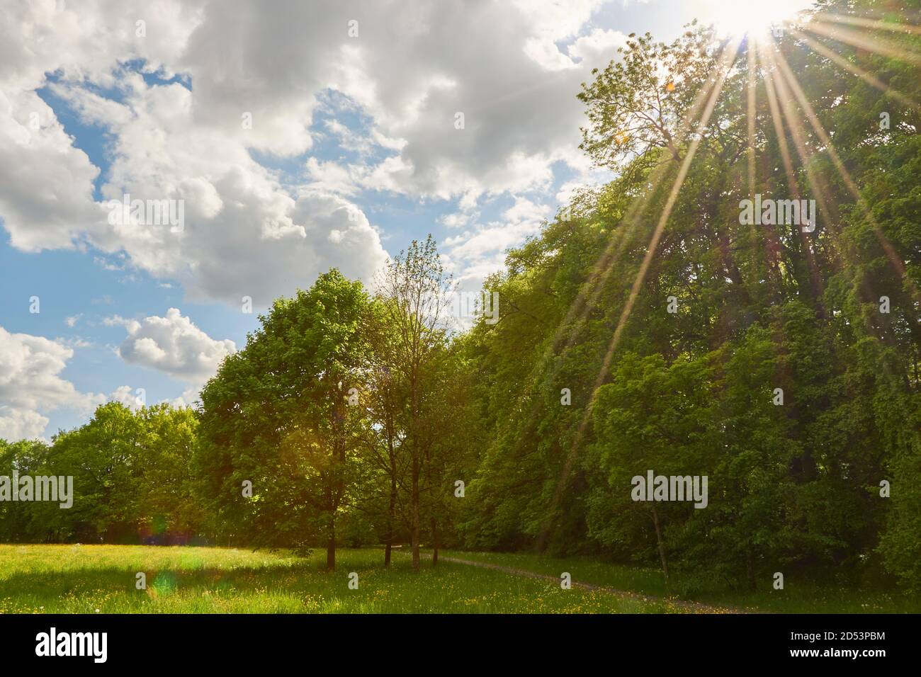 Sunset in the park. Romantic sunset in a green park with trees. Sun ...