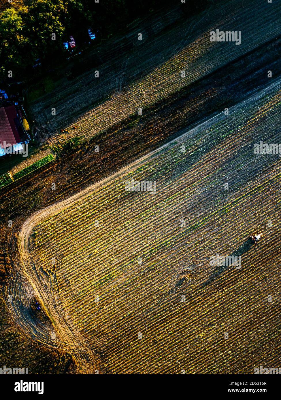 Italin summer hi-res stock photography and images - Alamy
