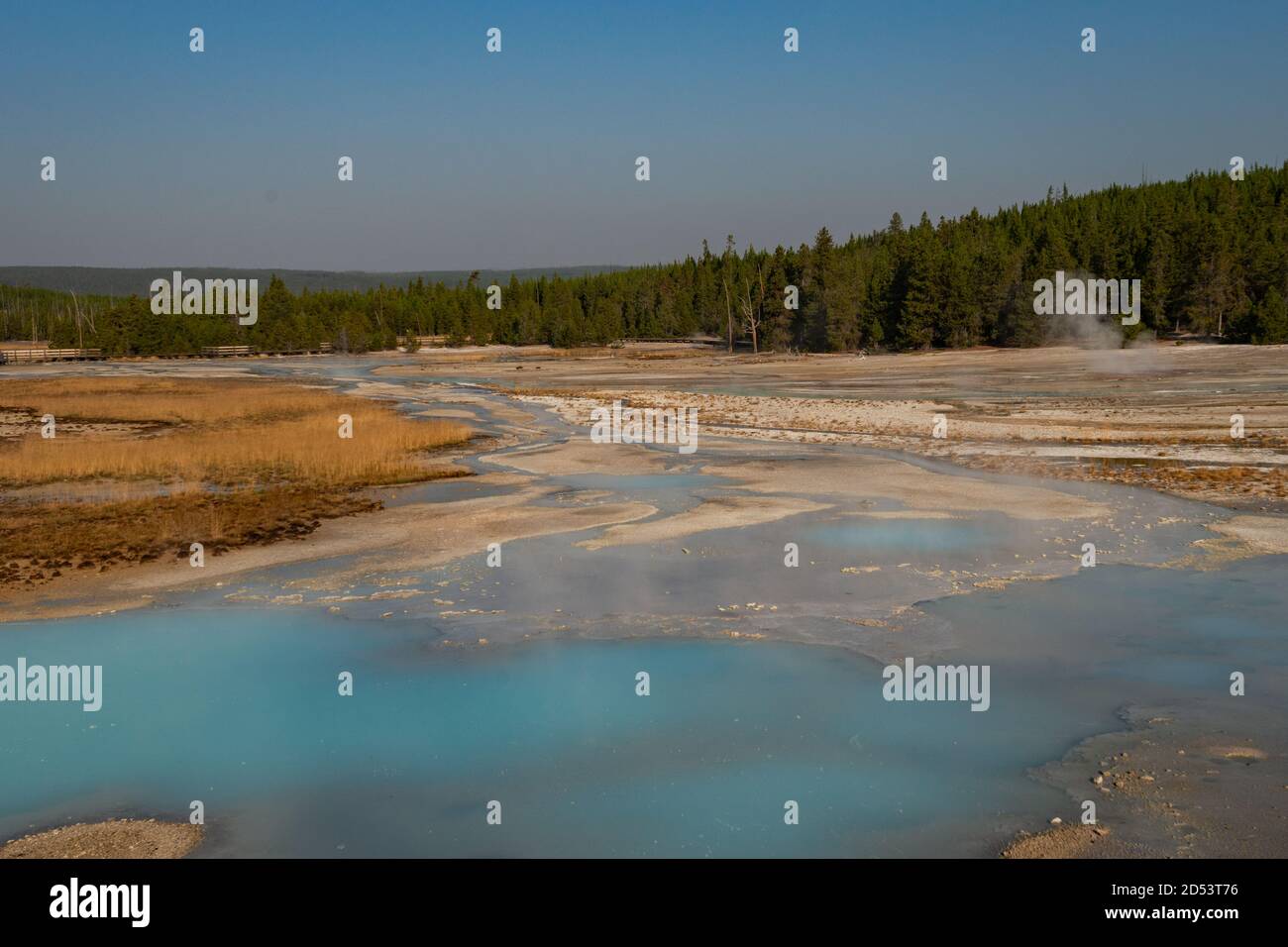 Hot Springs and gushing Geysers at Yellowstone National Park wilderness ...