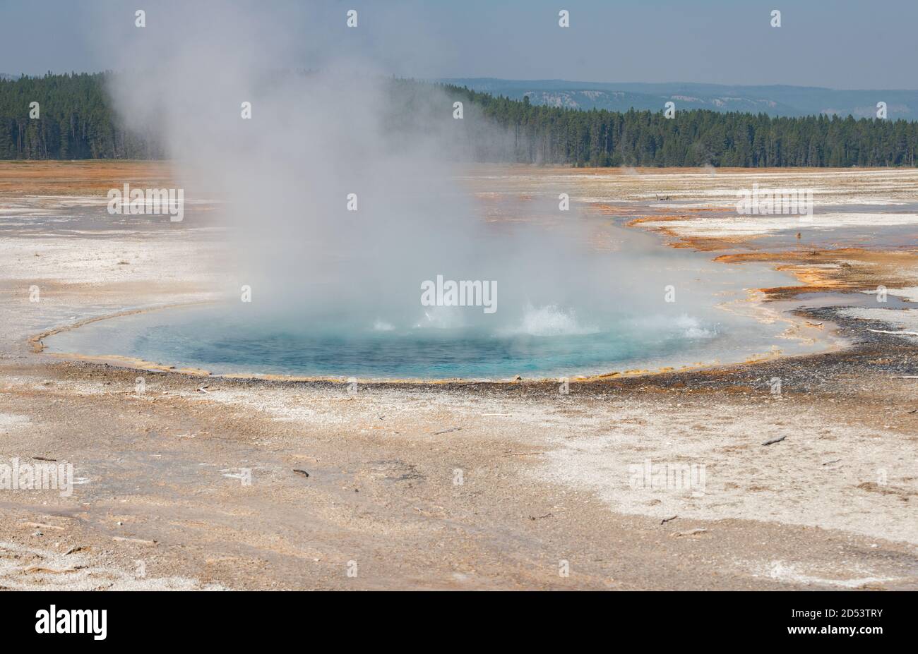 Hot Springs and gushing Geysers at Yellowstone National Park wilderness ...