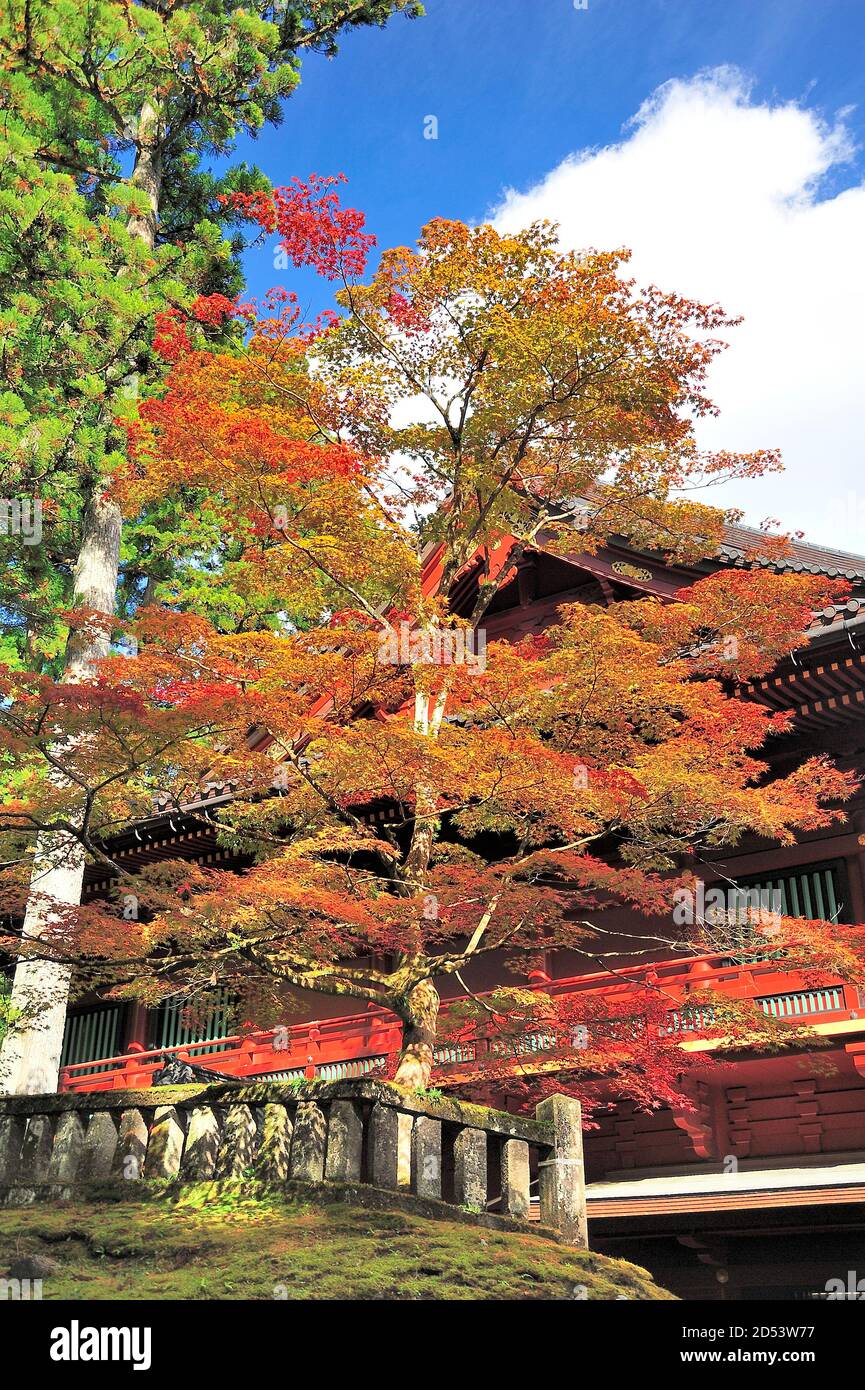 Nikko Toshogu Shrine High Resolution Stock Photography and Images - Alamy