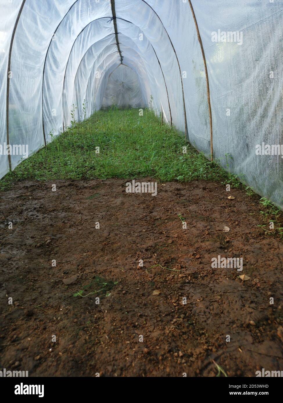 Enclosed Field High Resolution Stock Photography and Images - Alamy