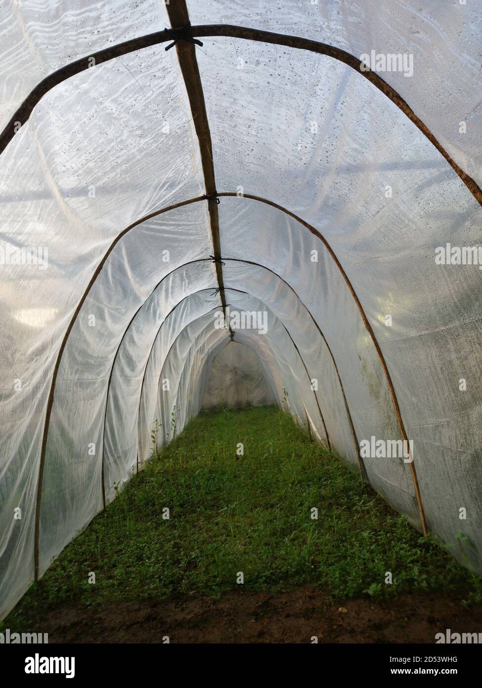 Enclosed field hi-res stock photography and images - Alamy