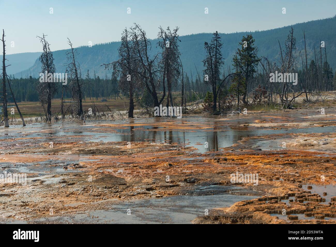 Hot Springs and gushing Geysers at Yellowstone National Park wilderness ...