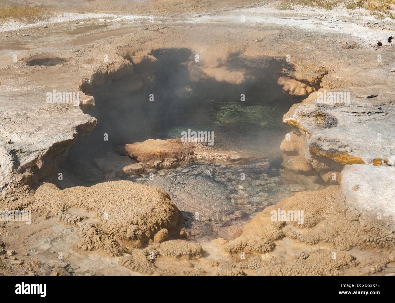 Hot Springs and gushing Geysers at Yellowstone National Park wilderness ...