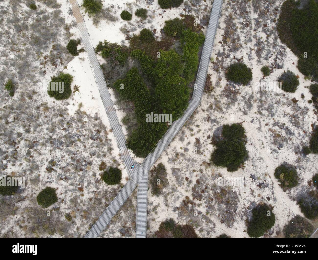 Aerial view of two people choosing a path at a walkway crossroad Stock ...