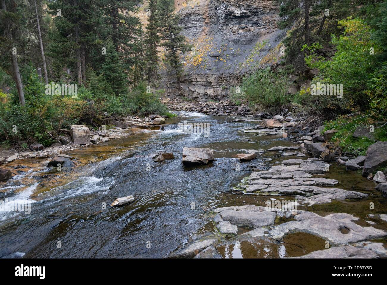Ousel Falls Park Trail in Custer Gallatin National Forest, Montana. USA ...