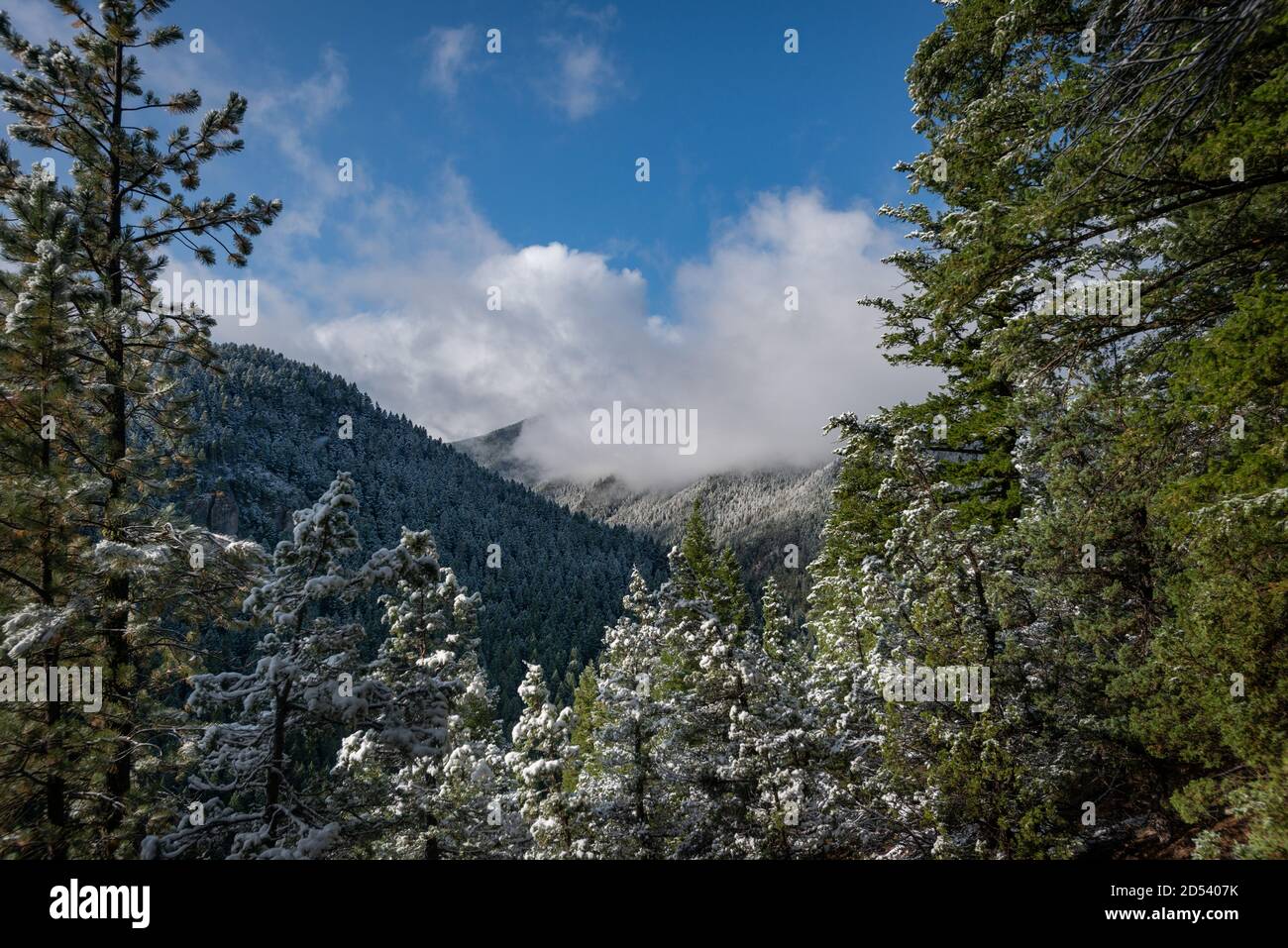 Storm Castle Peak trail in Custer Gallatin National Forest, Montana ...