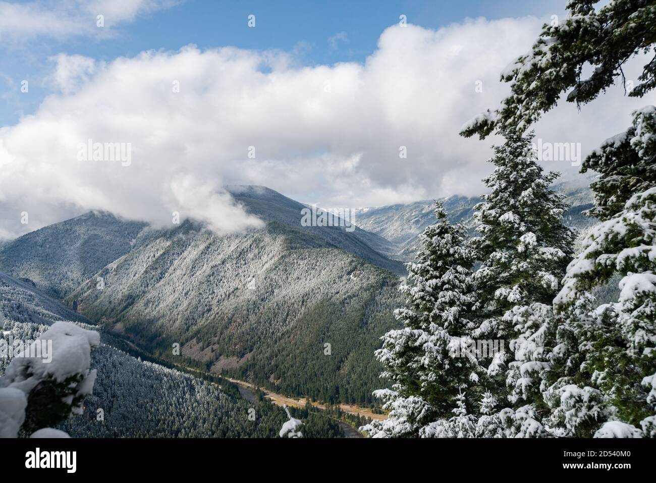 Storm Castle Peak trail in Custer Gallatin National Forest, Montana ...