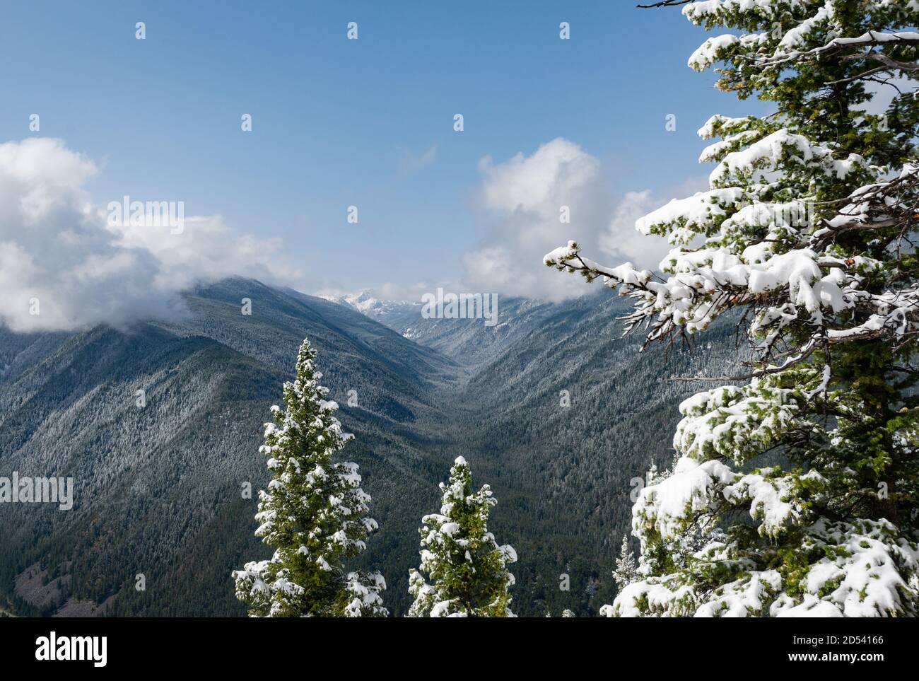 Storm Castle Peak trail in Custer Gallatin National Forest, Montana ...