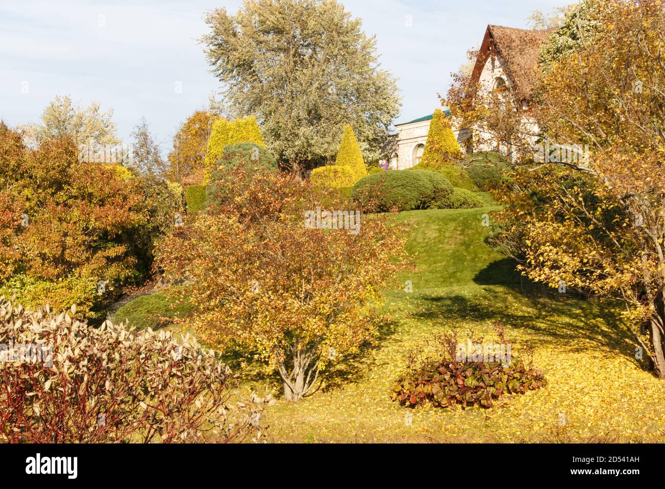 Park with green lawn, trees, hedges, trimmed bushes in autumn. Modern ...