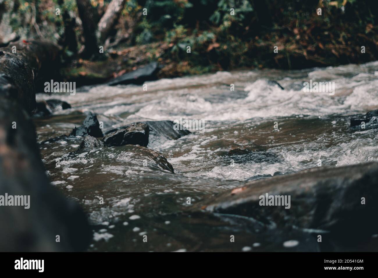 Rushing Water in a Creek Stock Photo - Alamy