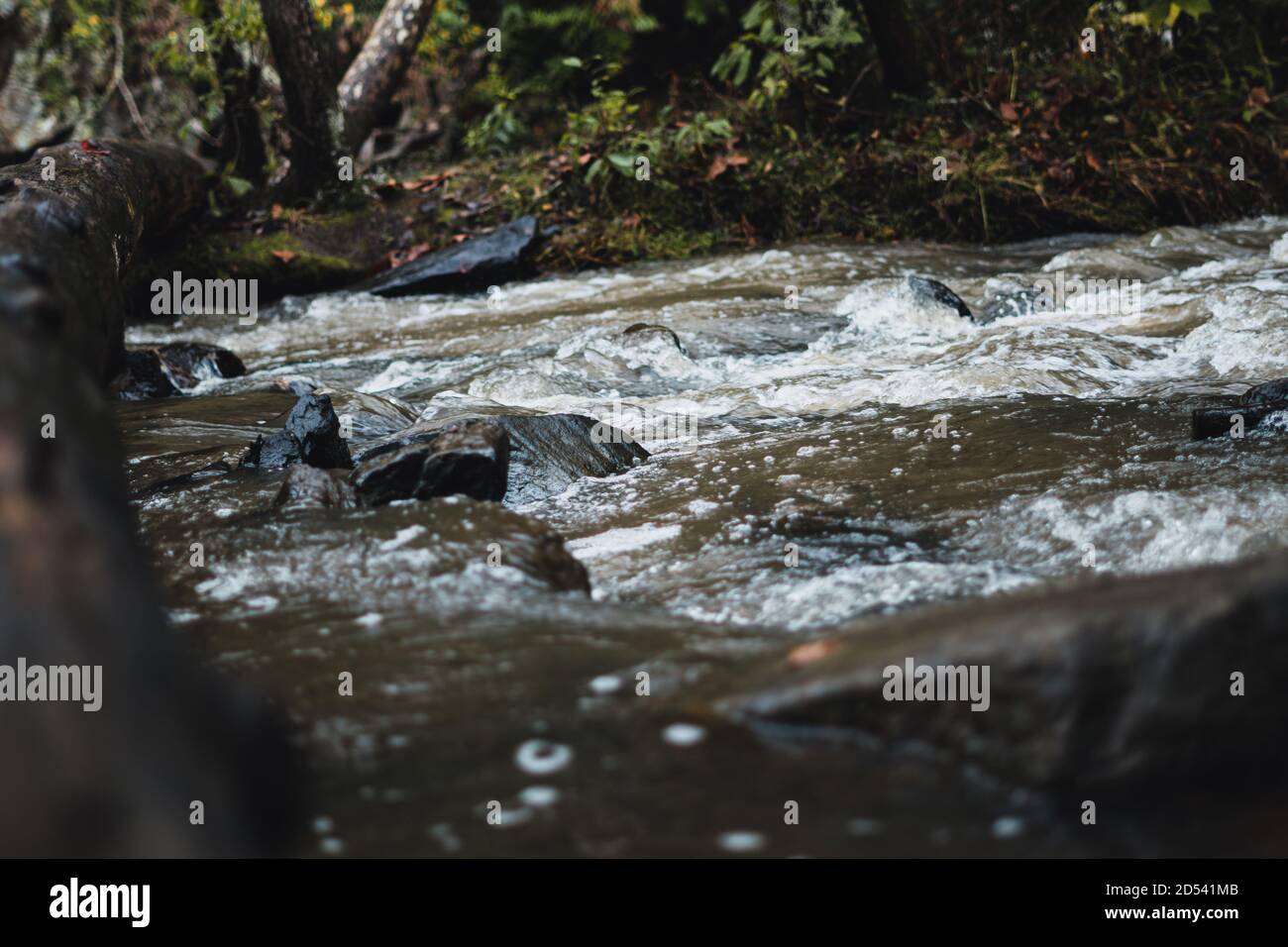 Rushing Water in a Creek Stock Photo - Alamy